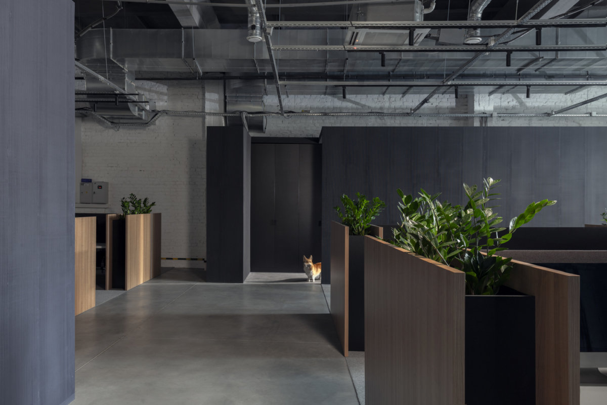 Loóna Offices - Minsk | Office Snapshots