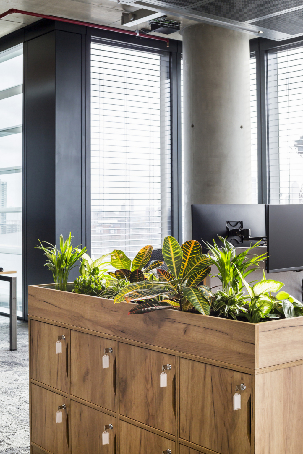 FNZ Offices - London | Office Snapshots