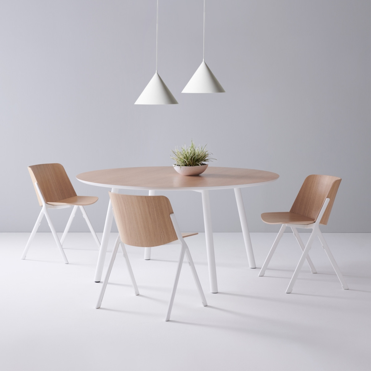 Davis Furniture Kayo | Office Snapshots