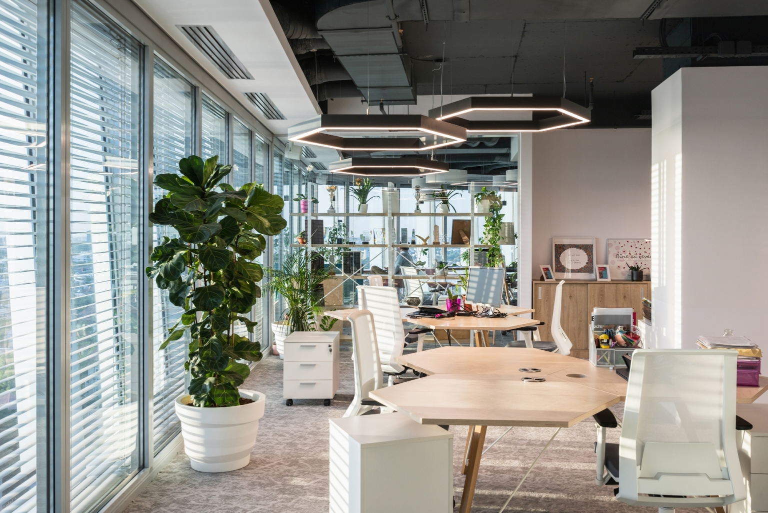 Ceetrus Offices - Bucharest | Office Snapshots