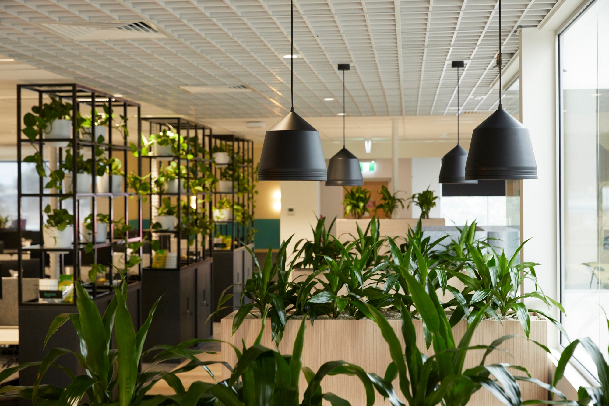 Nexus Smart Hub Offices - Wyong | Office Snapshots