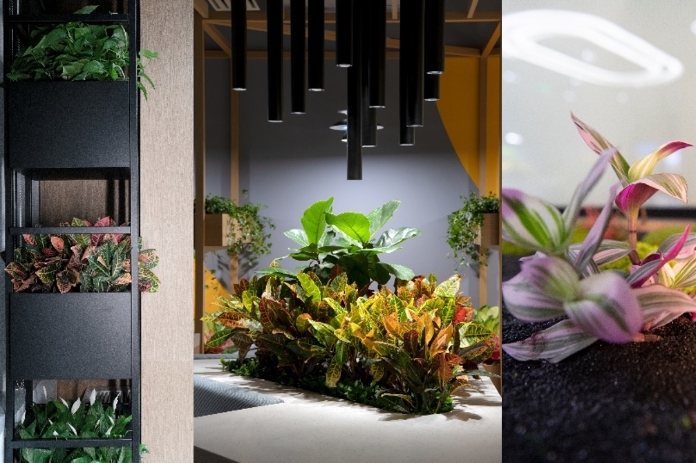 SAP Offices - Shanghai | Office Snapshots