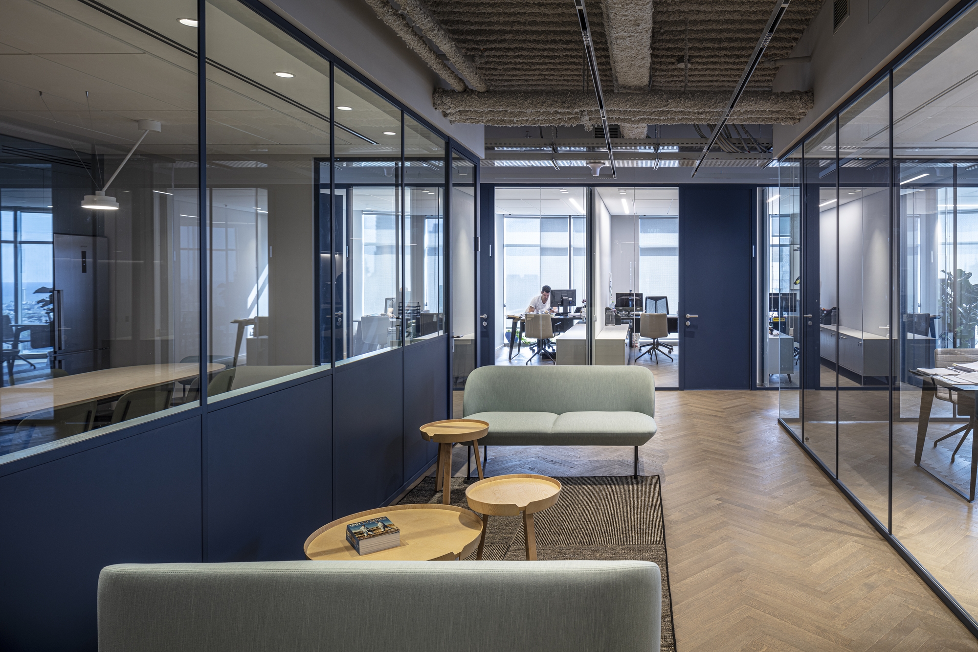 SGS Law Firm Offices - Ramat Gan | Office Snapshots