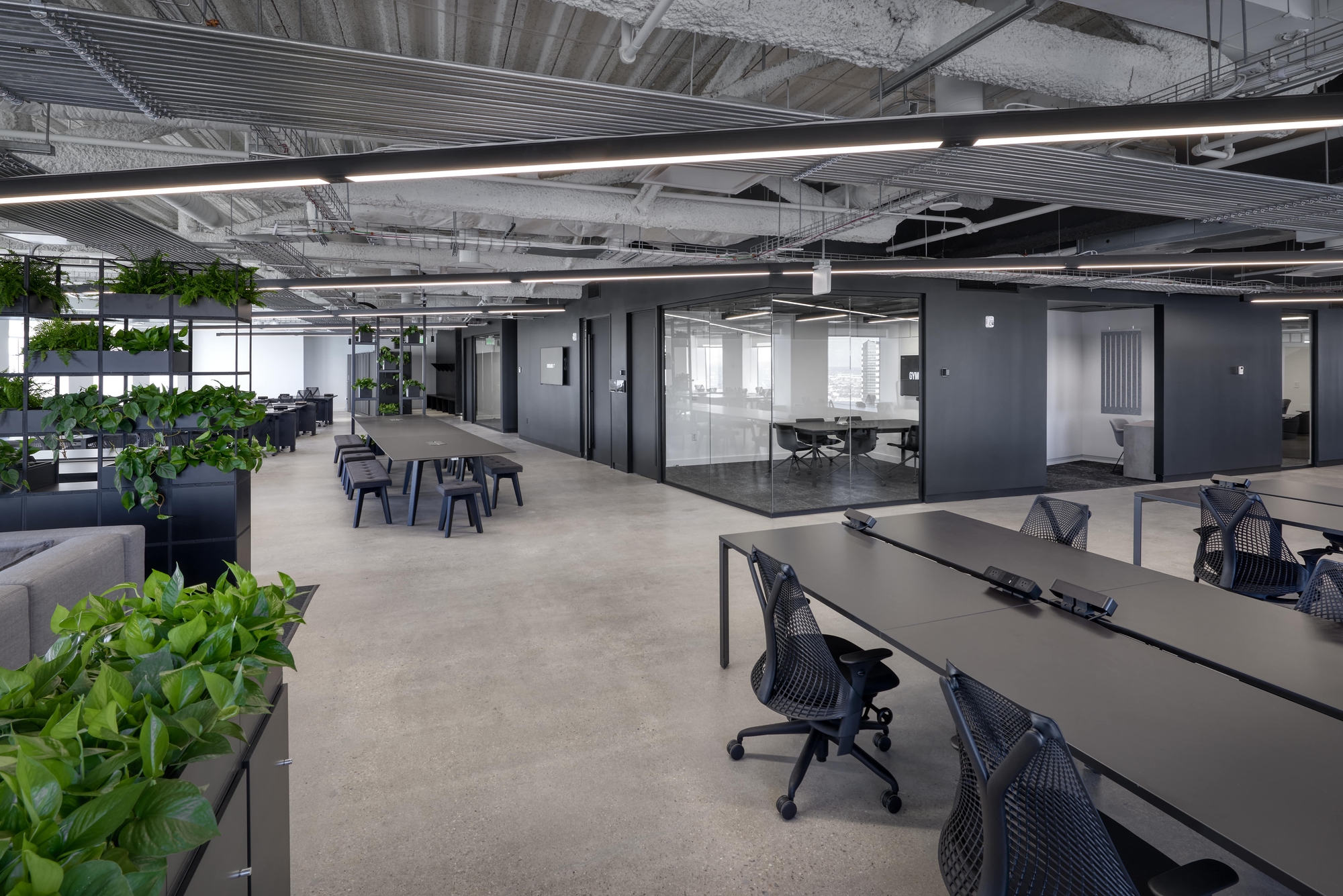 Gymshark Offices - Denver | Office Snapshots