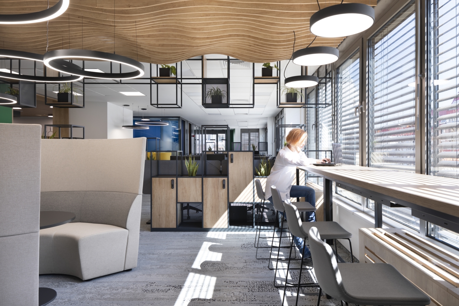 BNP Paribas Offices - Sofia | Office Snapshots