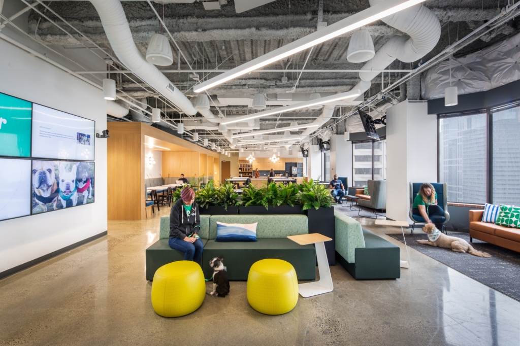 Rover Offices - Seattle | Office Snapshots