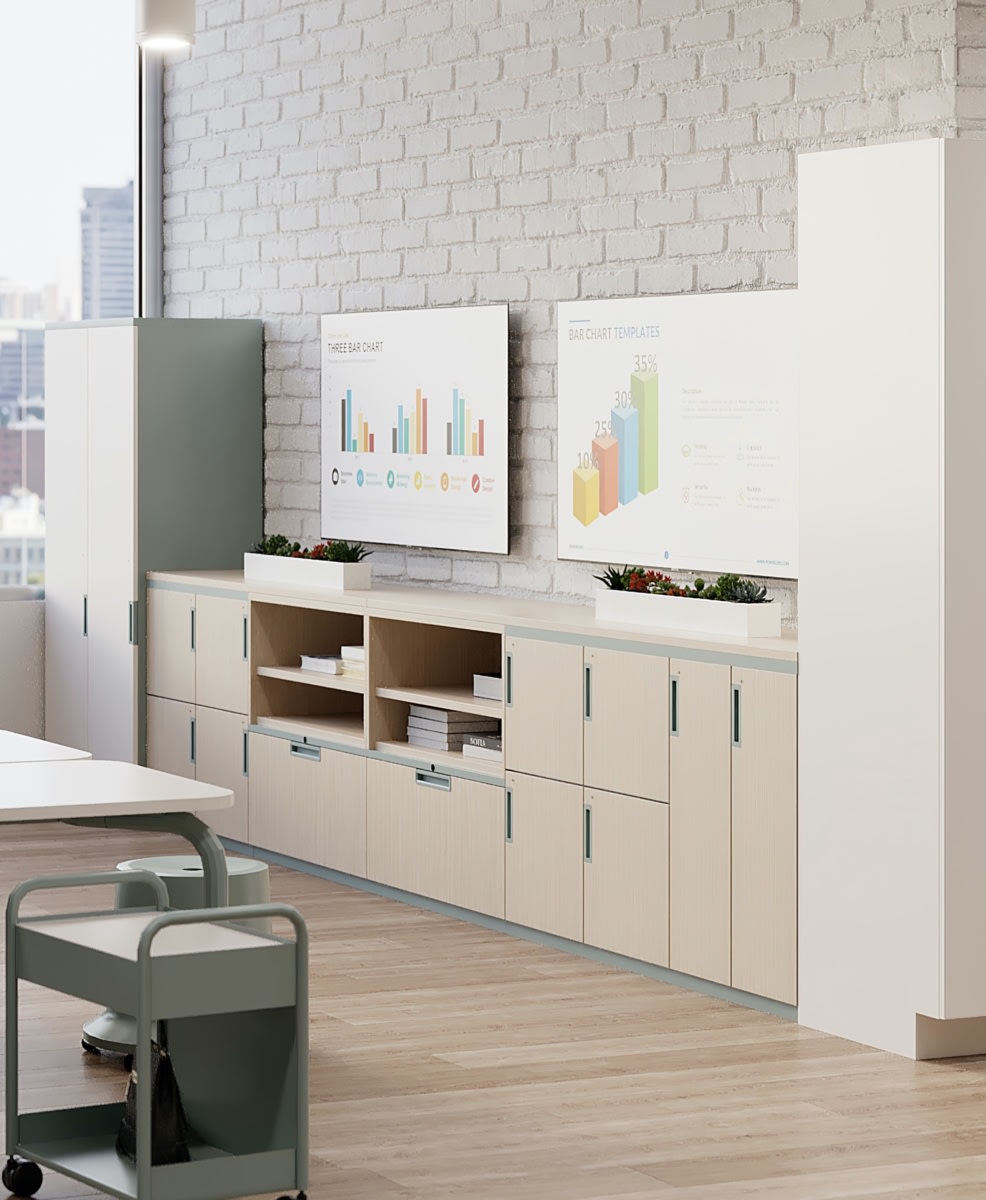 Teknion Ledger Storage Cabinets | Cabinets Matttroy