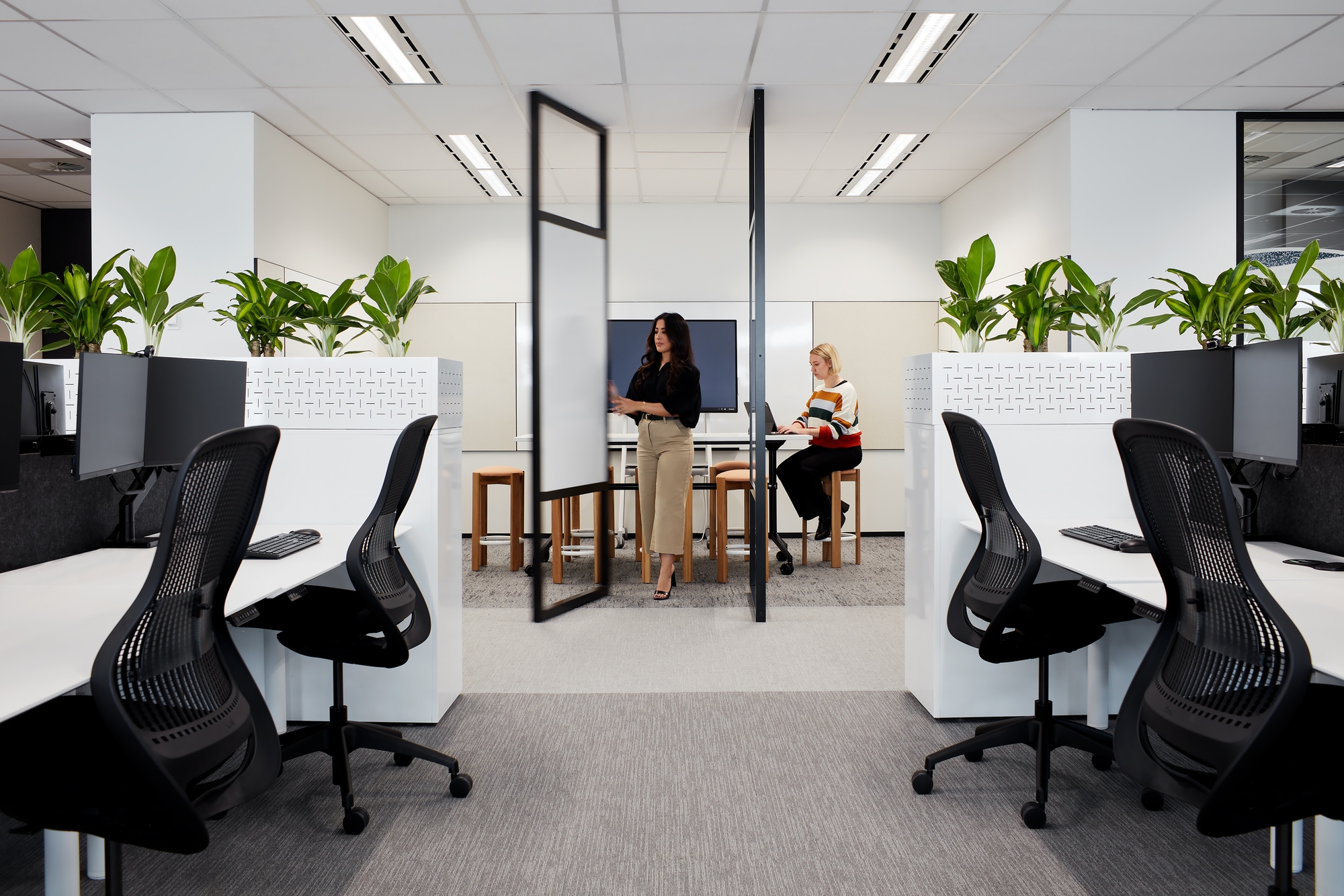 QBE Insurance Offices - Parramatta | Office Snapshots