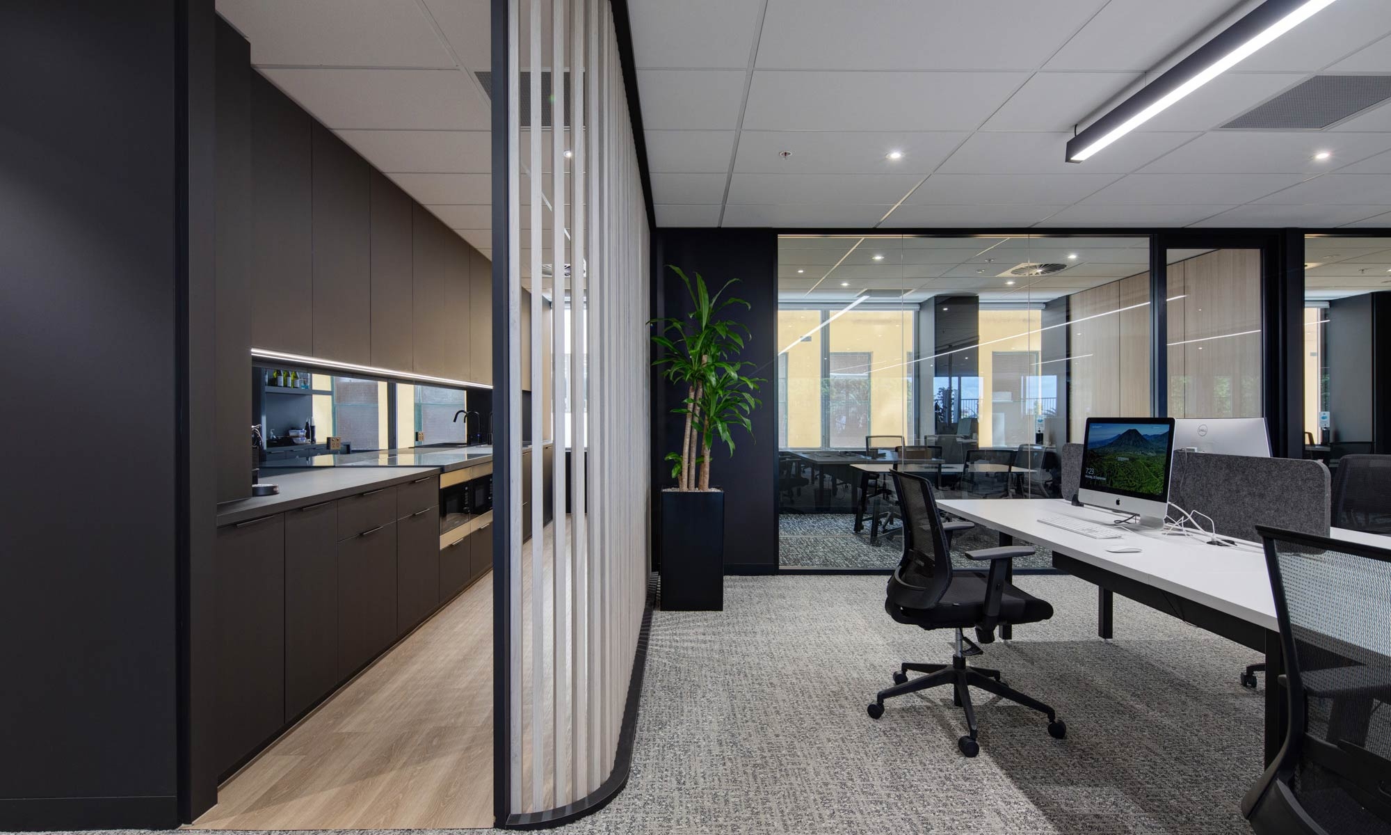 MoneyMe Offices - Sydney | Office Snapshots