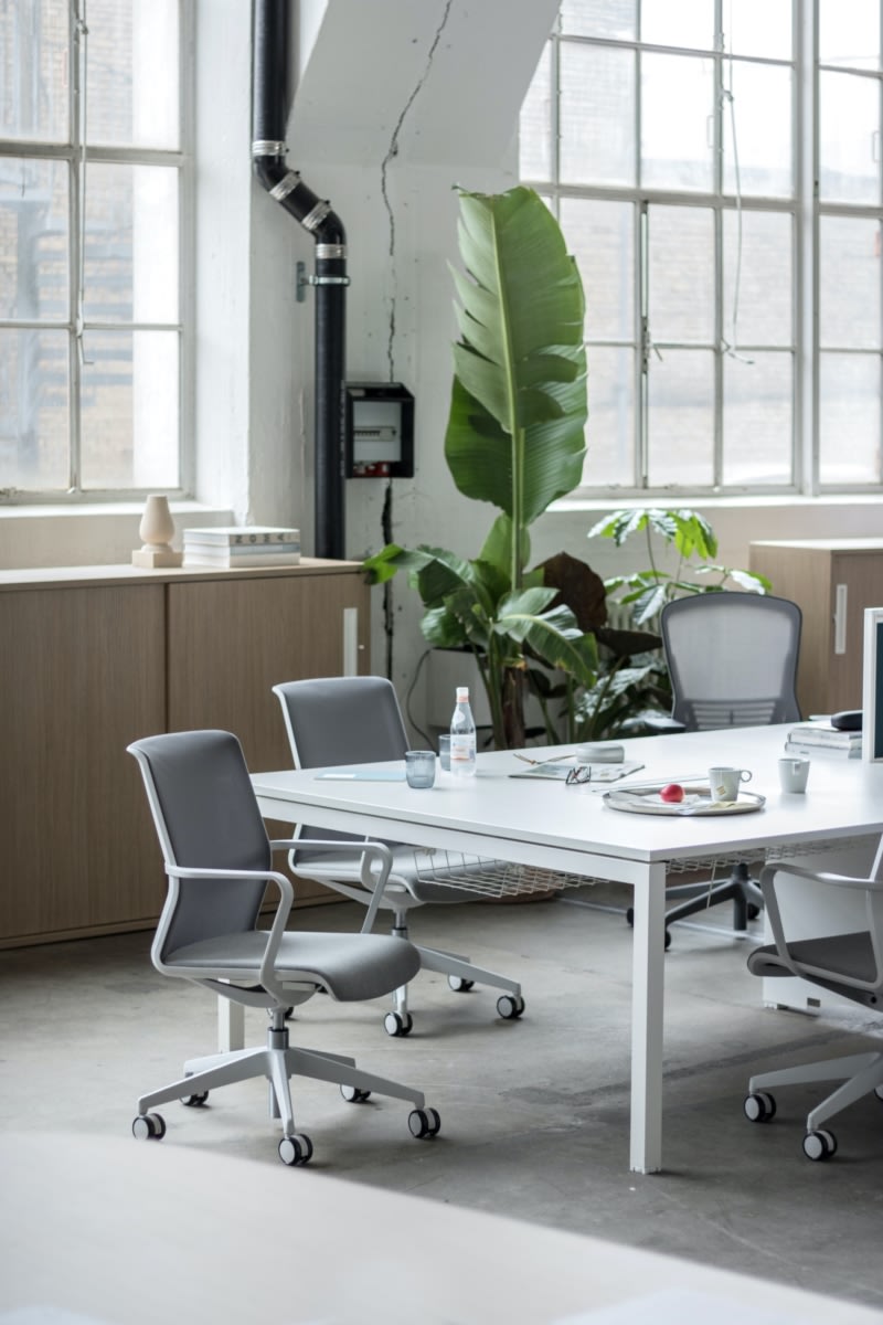Senator Chemistry | Office Snapshots