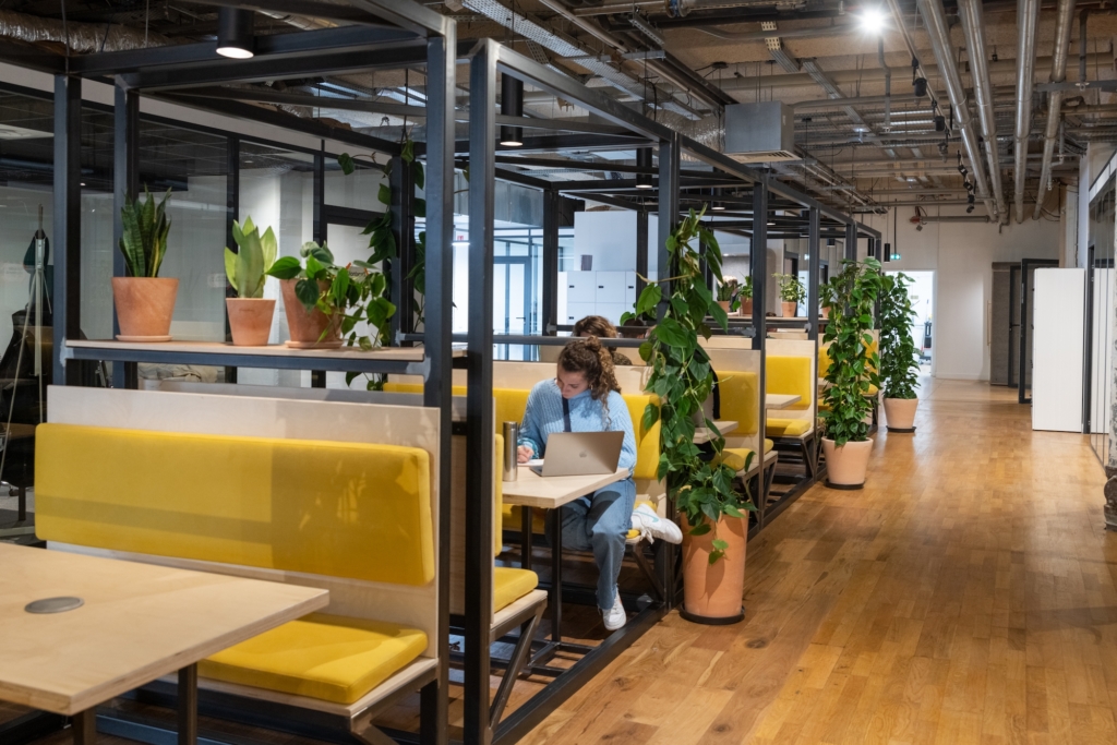 Brut Offices - Paris | Office Snapshots