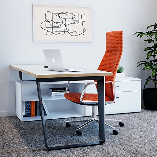 DeskMakers Ribbon | Office Snapshots