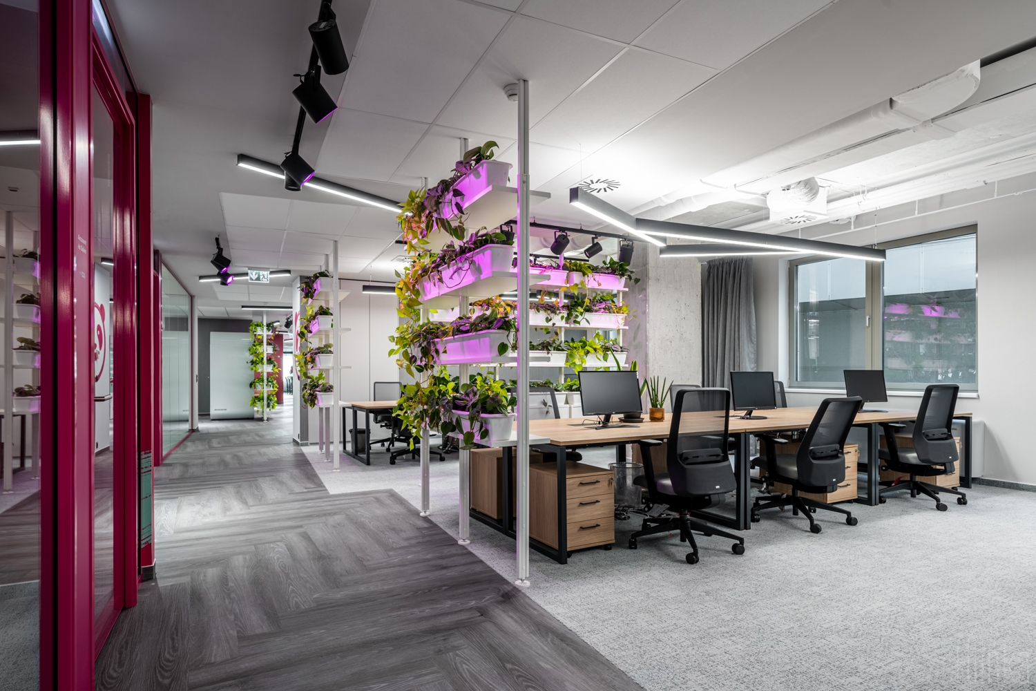 foodpanda Offices - Budapest | Office Snapshots