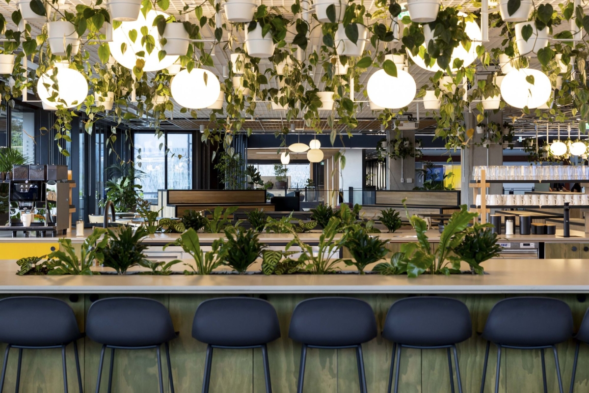 2degrees Offices - Auckland | Office Snapshots