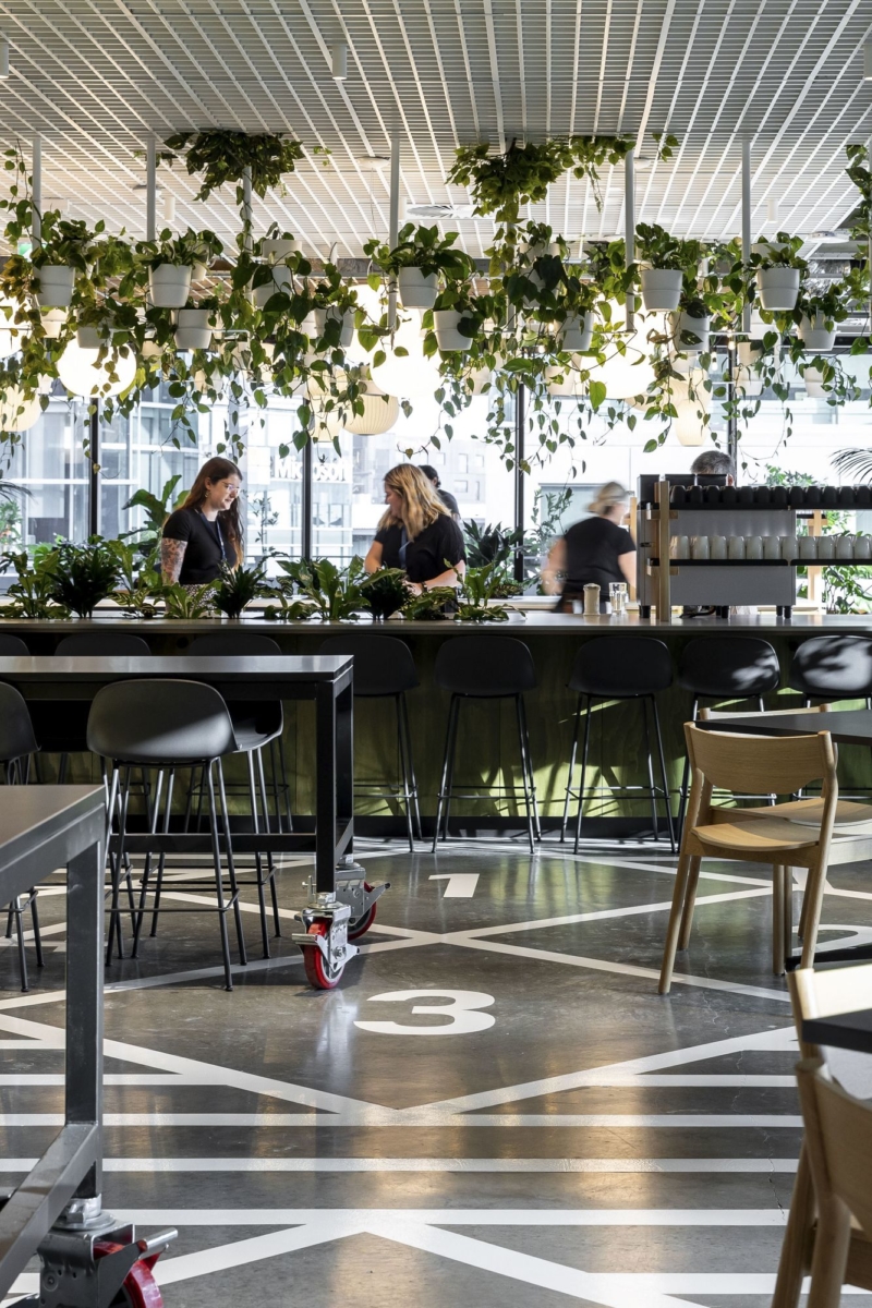 2degrees Offices - Auckland | Office Snapshots