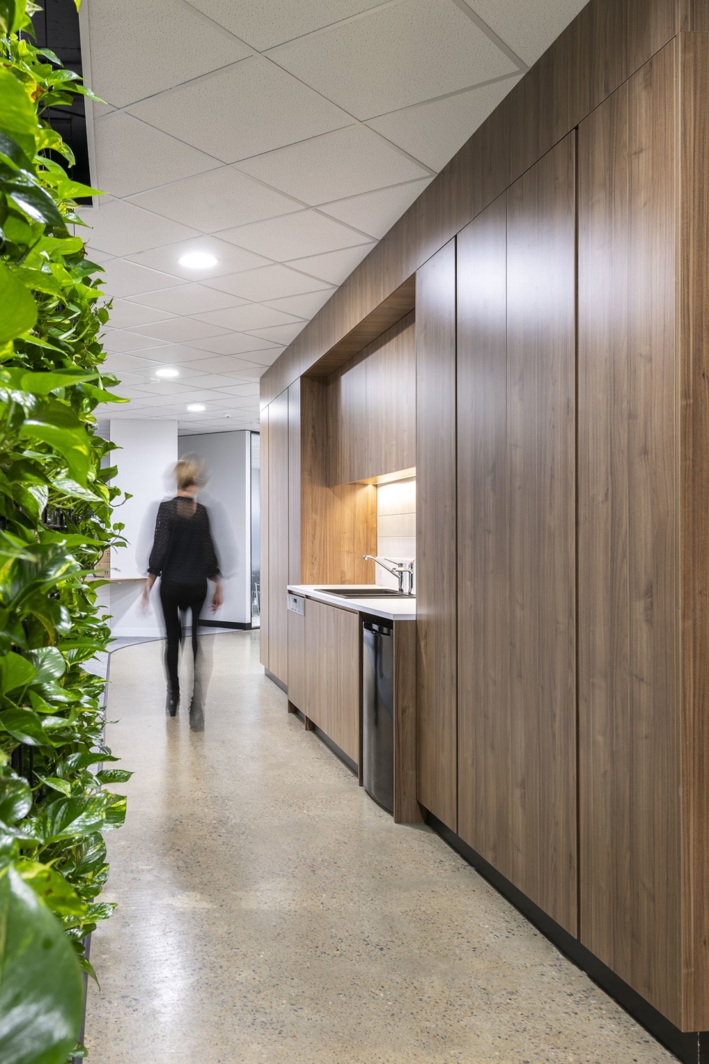Sony Offices - Sydney | Office Snapshots