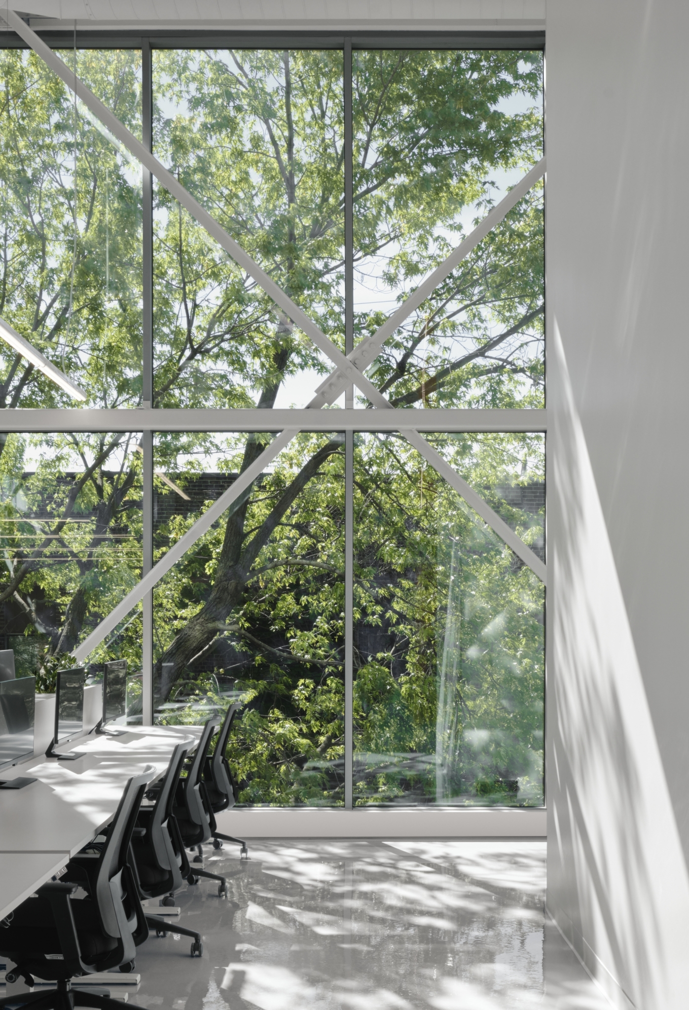 Vention Offices - Montreal | Office Snapshots