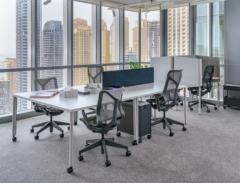Herman Miller Offices - Dubai | Office Snapshots