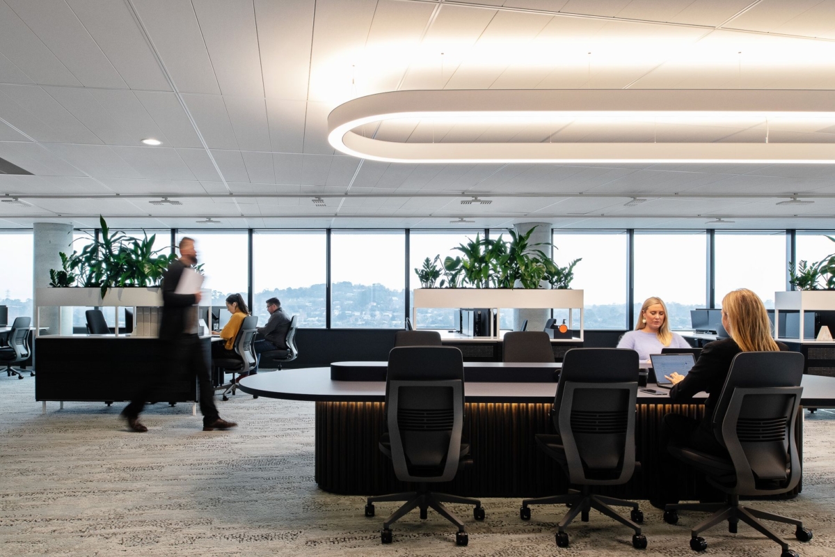 Department of Transport Offices - Ringwood | Office Snapshots