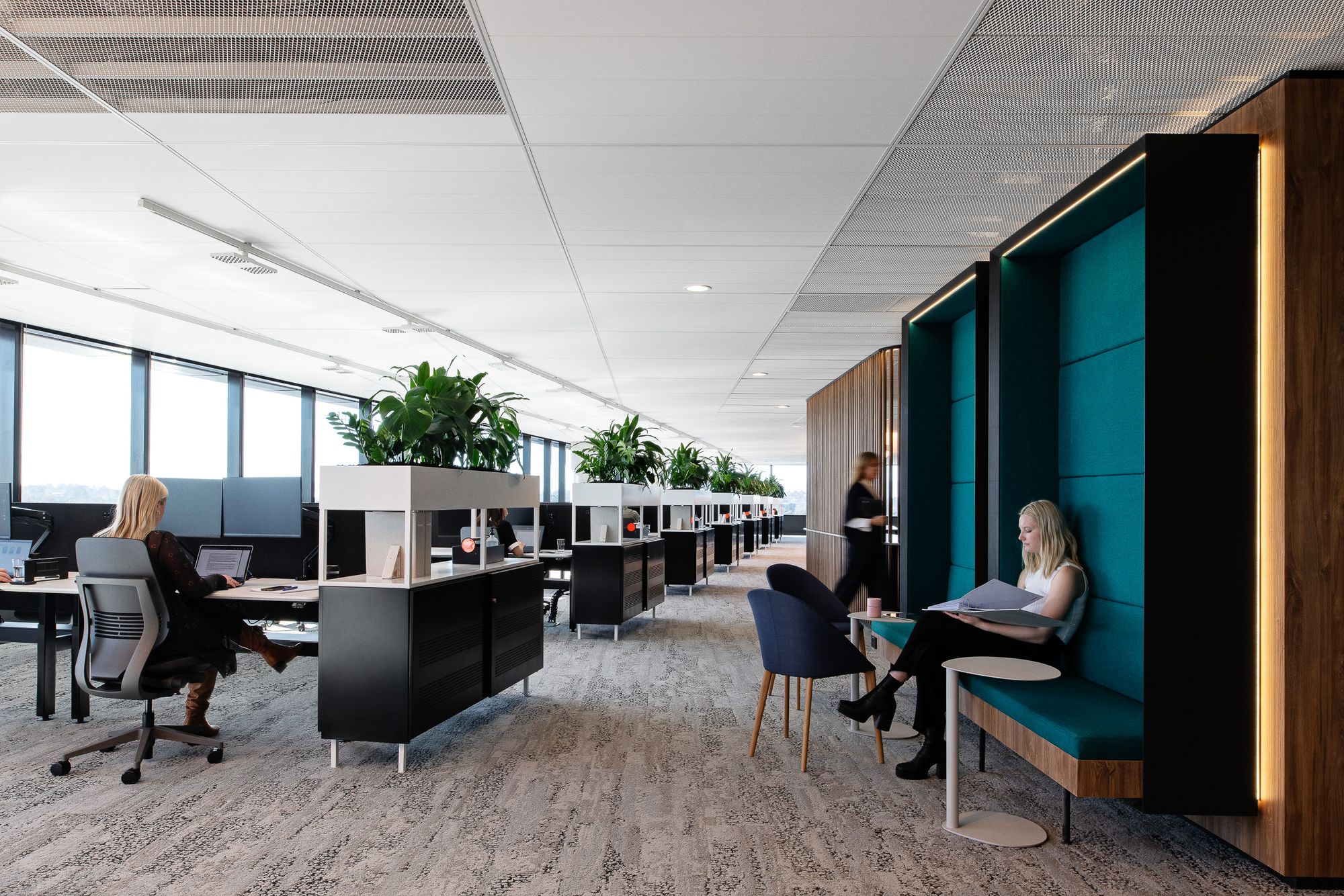 Department of Transport Offices - Ringwood | Office Snapshots