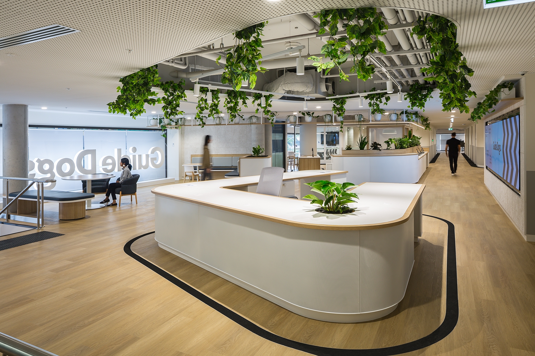 Guide Dogs Offices - Sydney | Office Snapshots