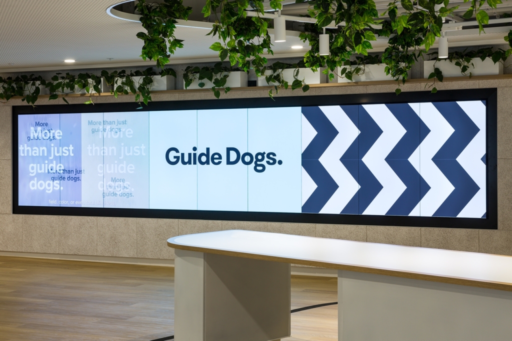 Guide Dogs Offices - Sydney | Office Snapshots