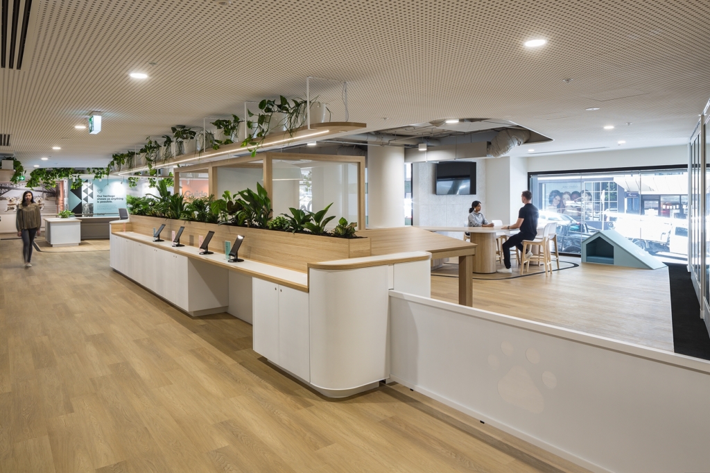 Guide Dogs Offices - Sydney | Office Snapshots