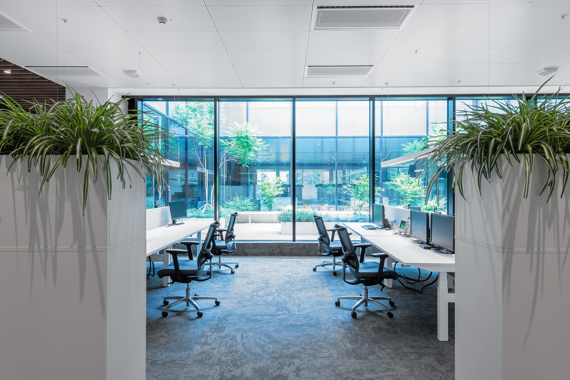 Melexis Offices - Sofia | Office Snapshots