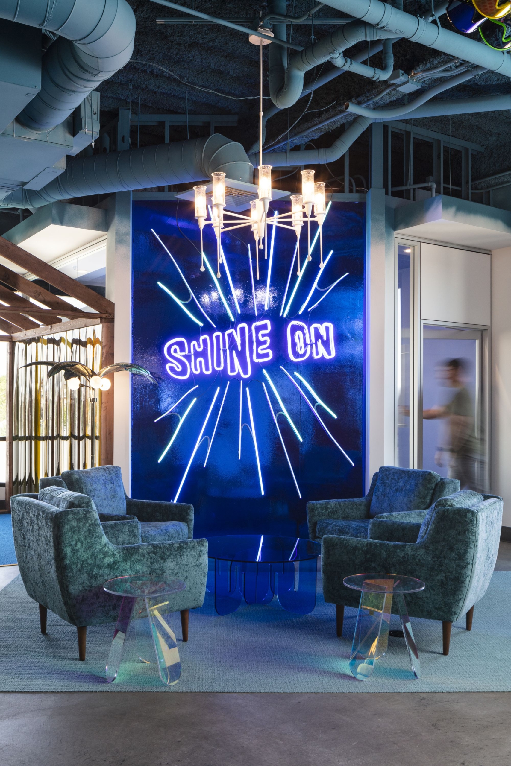 Shinesty Offices - Denver | Office Snapshots