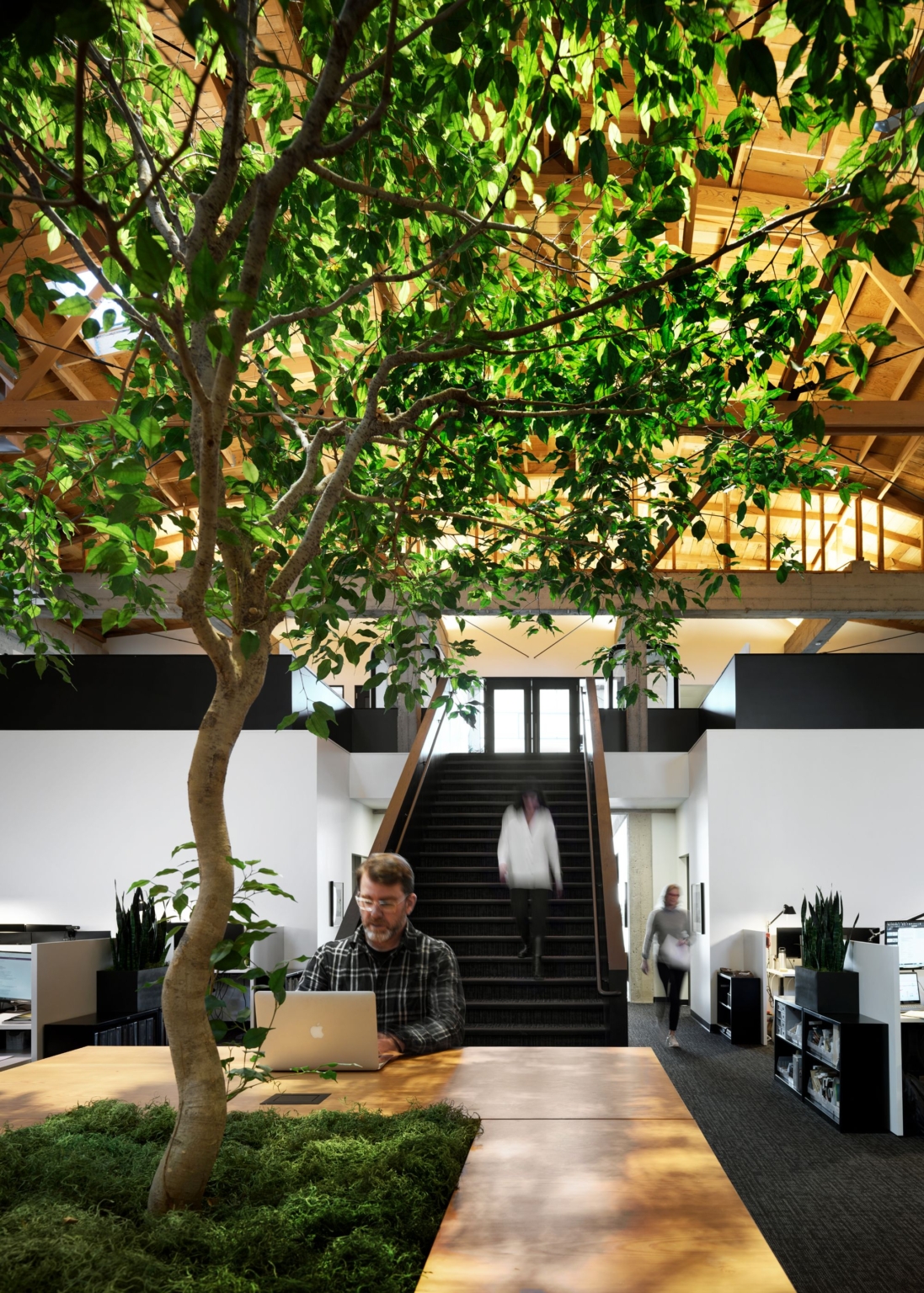 WDA | William Duff Architects Offices - San Francisco | Office Snapshots