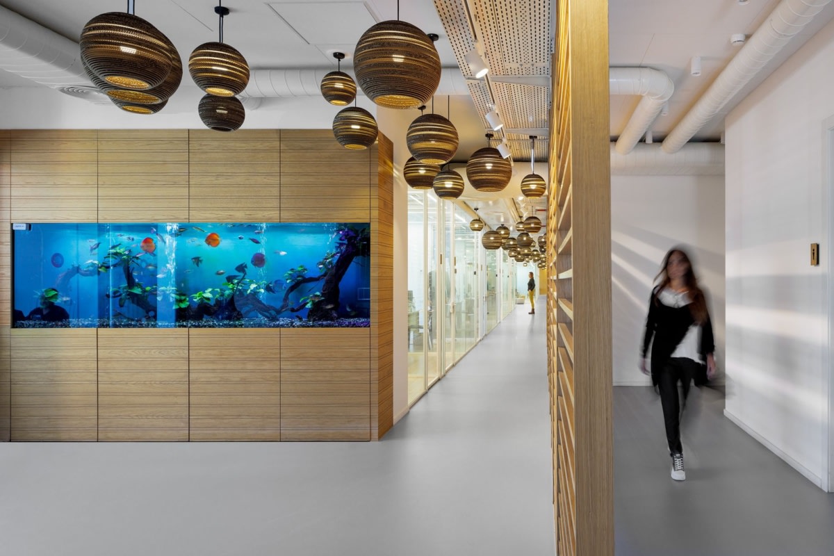 East and West Offices - Modi'in | Office Snapshots