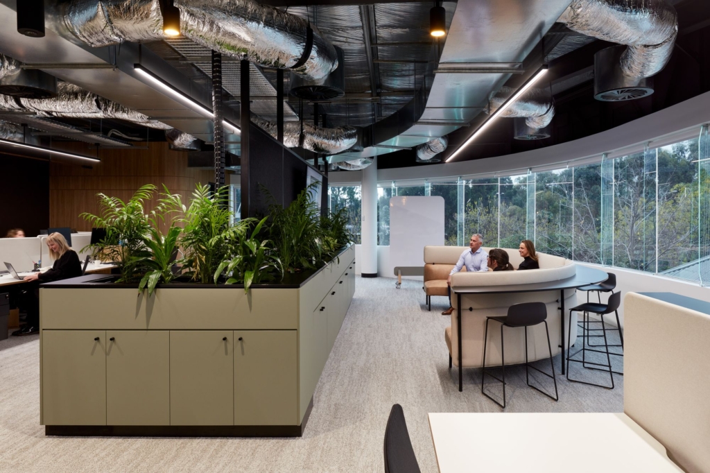 LMS Energy Headquarters - Adelaide | Office Snapshots