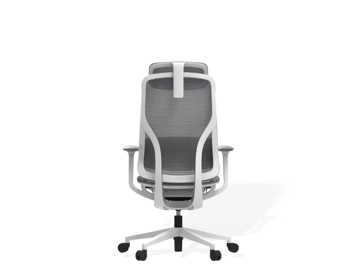 NOVAH Seda | Office Snapshots