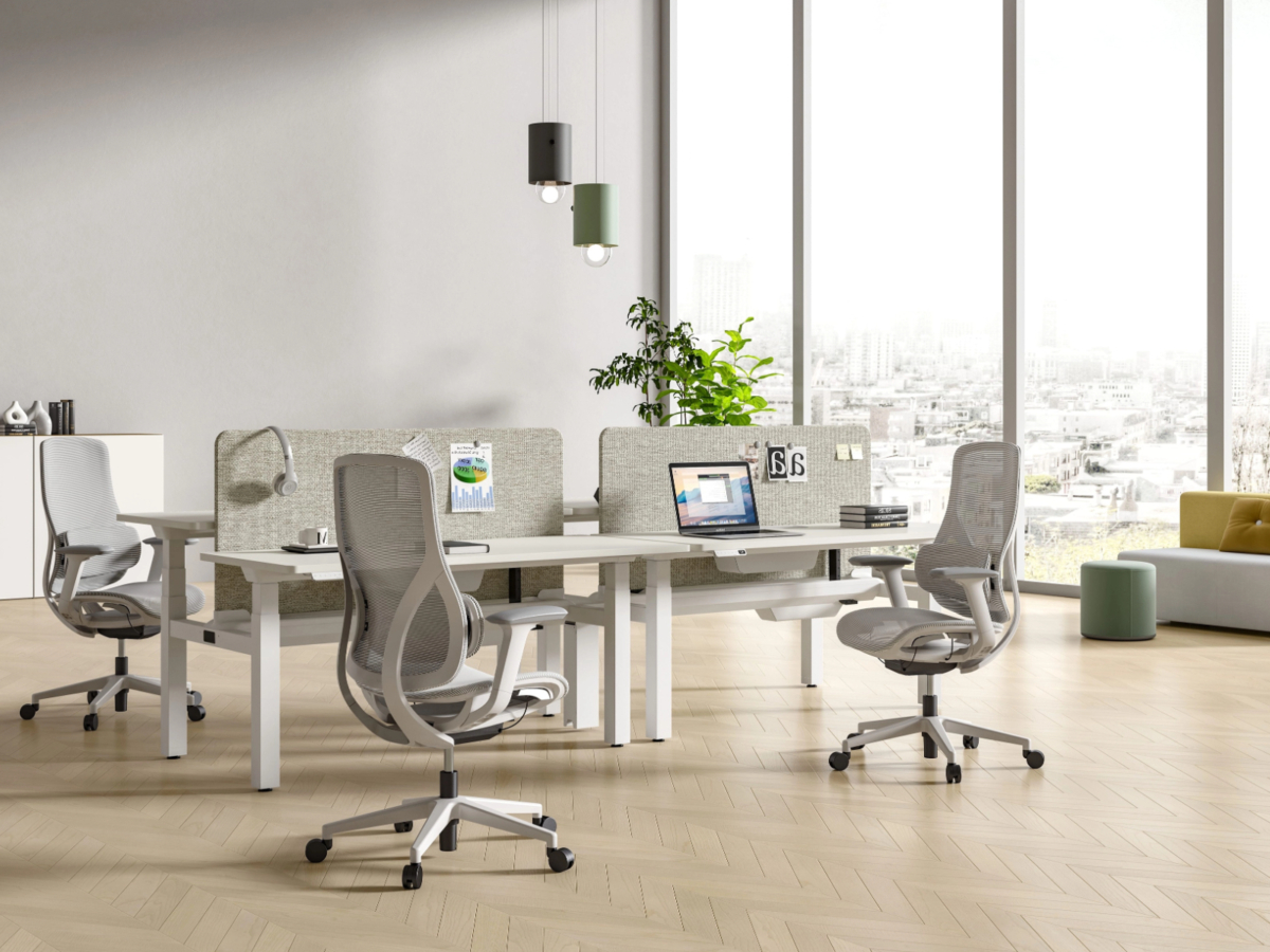 NOVAH Seda | Office Snapshots