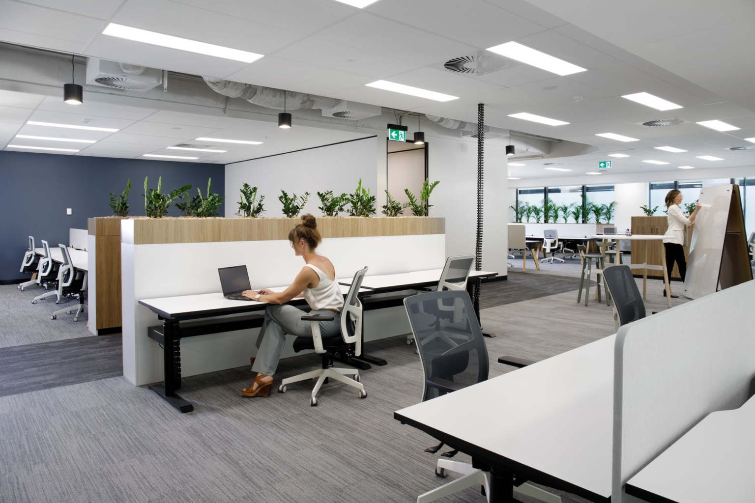 Midtown Centre Spec Suite - Brisbane | Office Snapshots