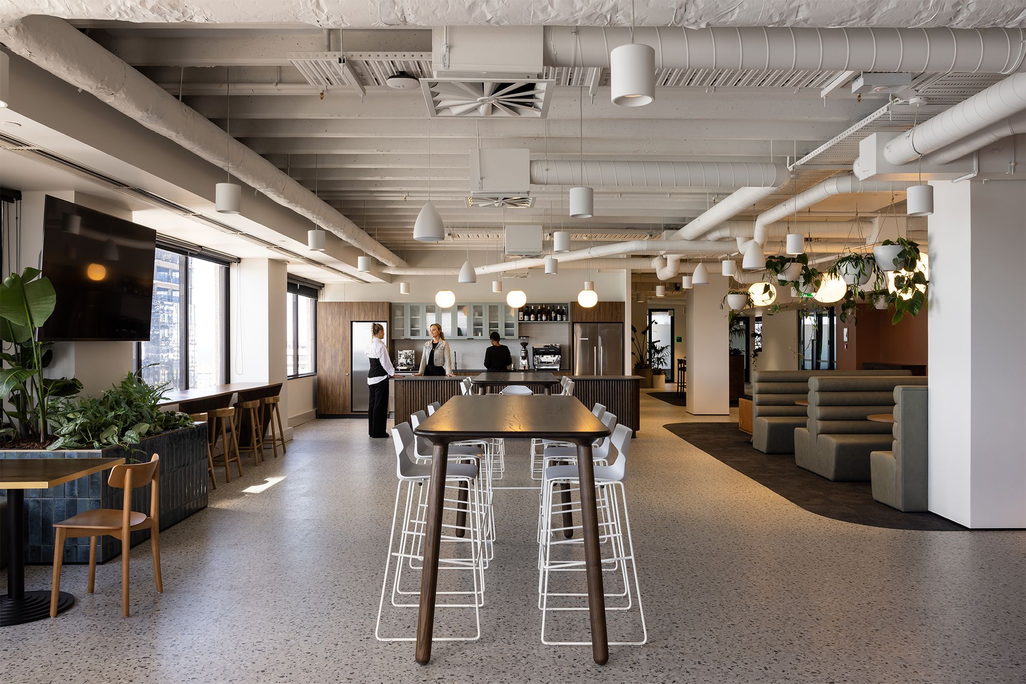 Arvida Group Offices - Auckland | Office Snapshots