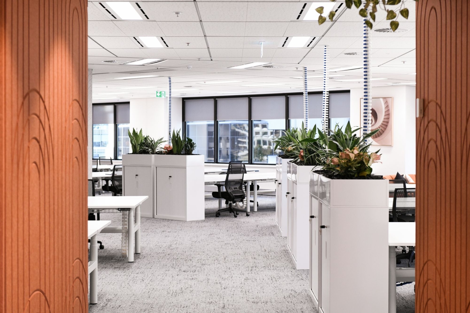 255 George Street Spec Suite - Sydney | Office Snapshots