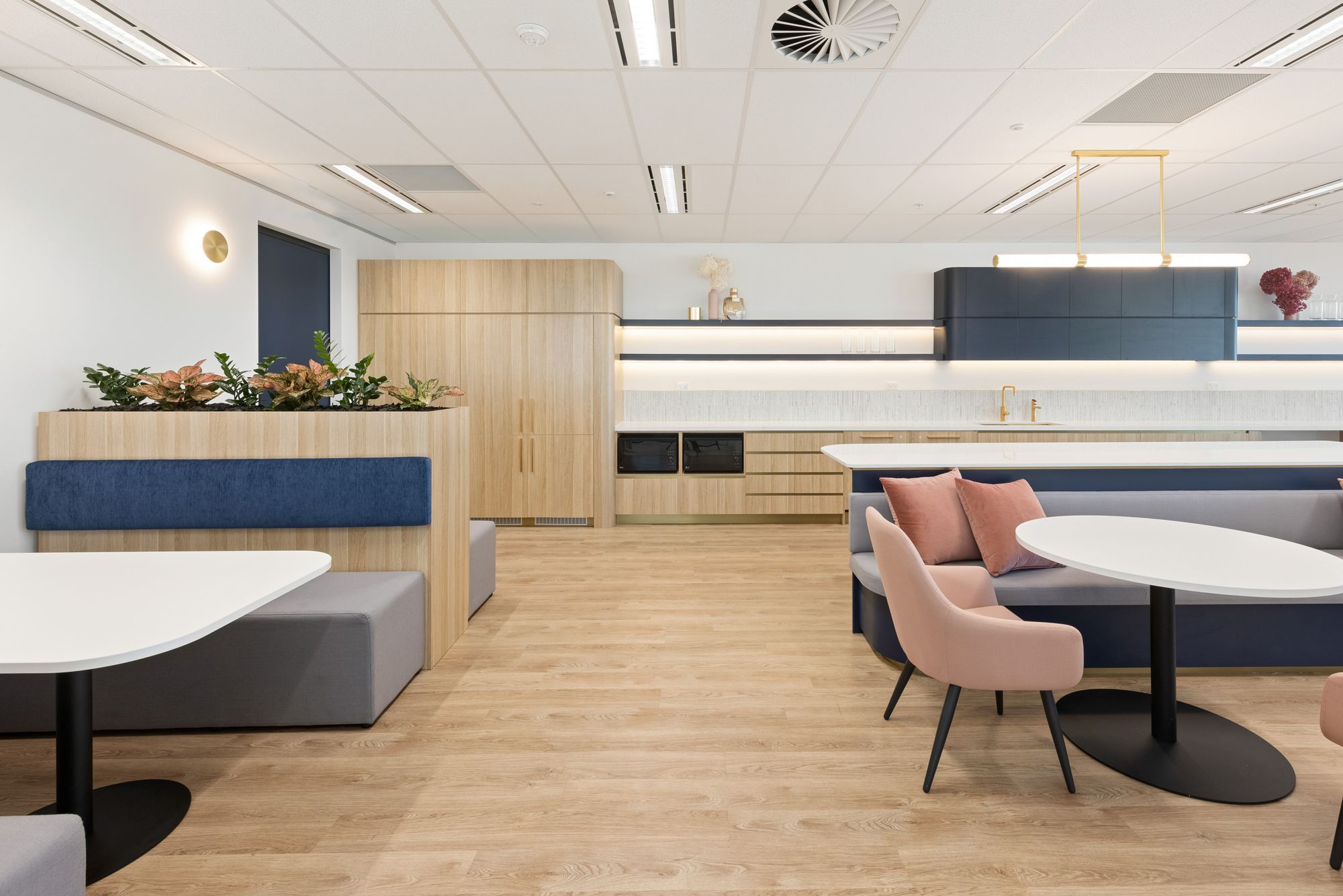 COTY Offices - Sydney | Office Snapshots