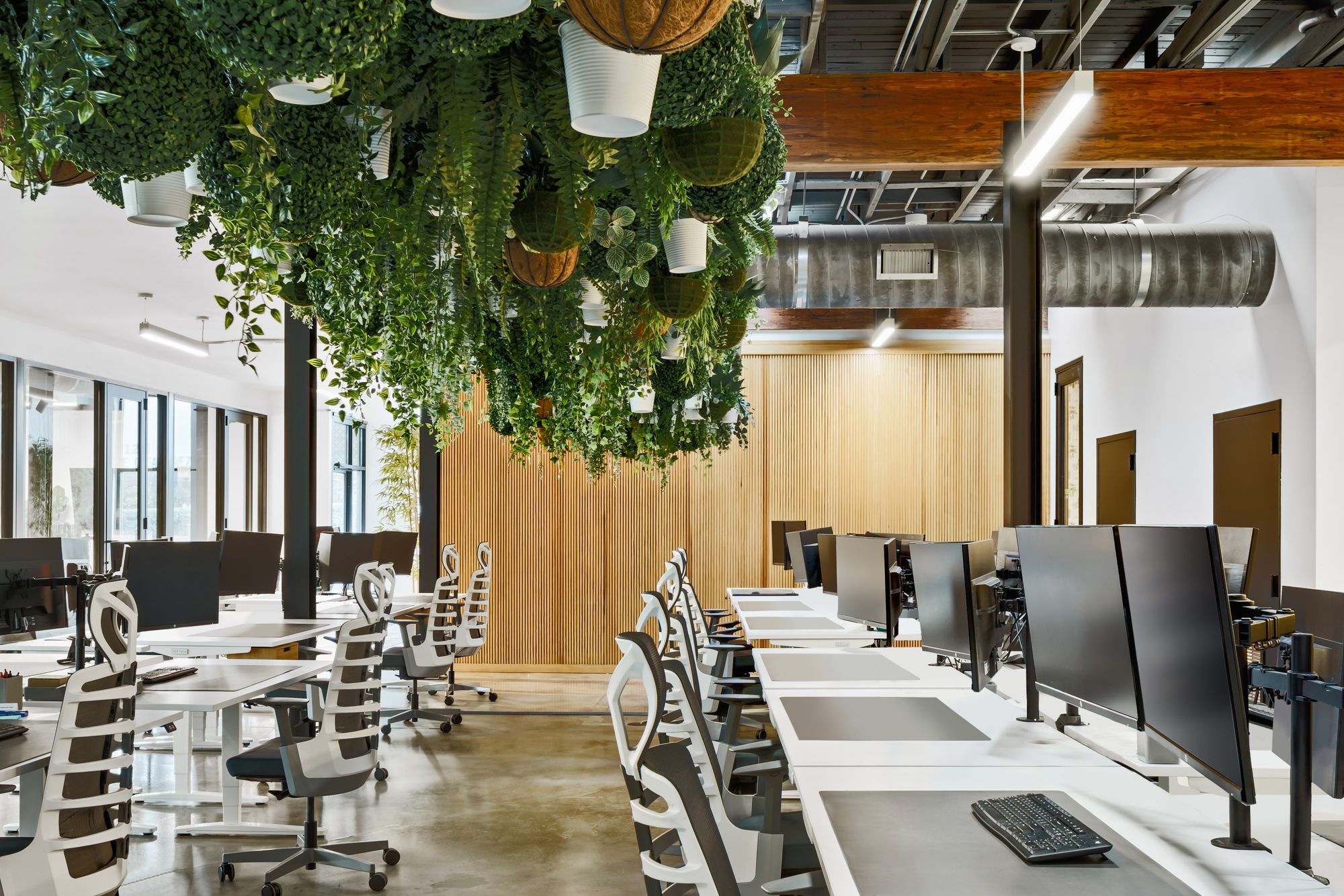 Rise Coworking and Easy Street Capital Offices - Austin | Office Snapshots