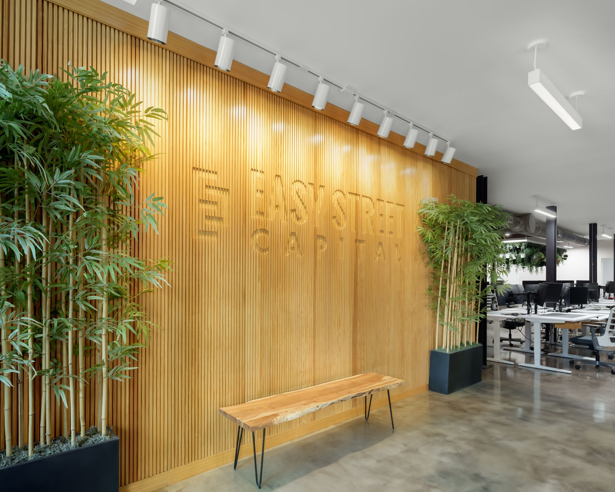 Rise Coworking and Easy Street Capital Offices - Austin | Office Snapshots
