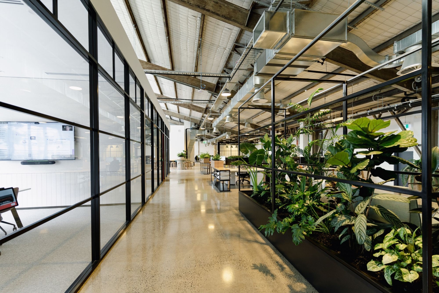 Temple & Webster Offices - Sydney | Office Snapshots