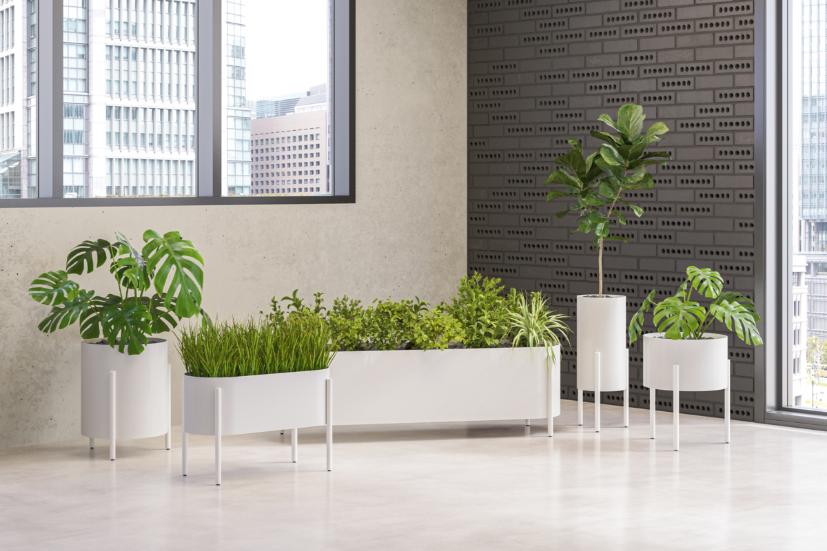 Arcadia Lineup Planters | Office Snapshots