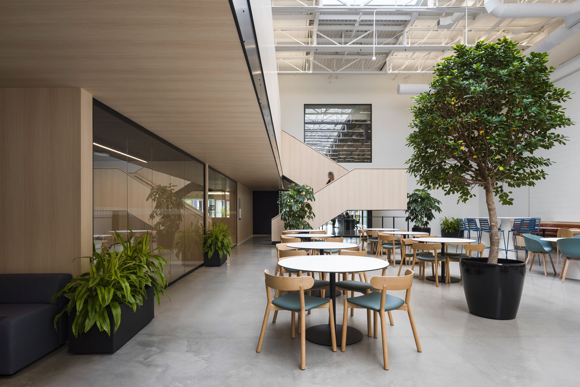 United Auto Parts (UAP) Offices - Montreal | Office Snapshots