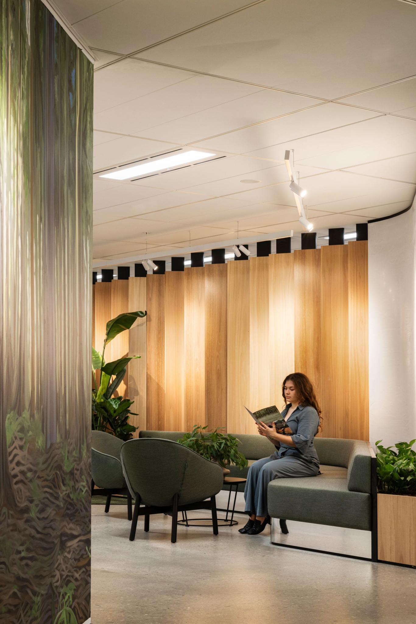 New Forest Offices - Sydney | Office Snapshots