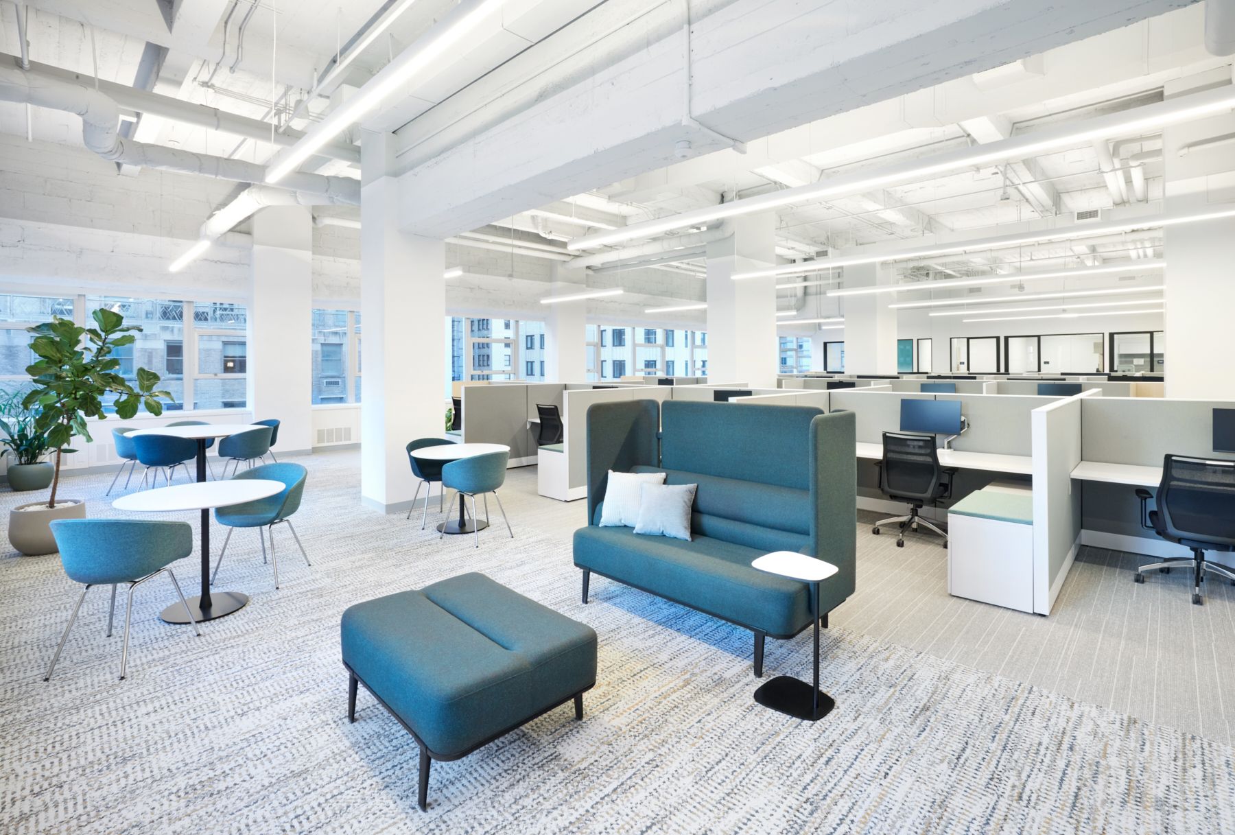 Vibrant Emotional Health Offices - New York City | Office Snapshots