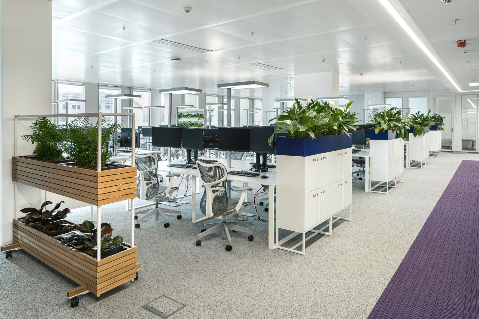 Entain Services Offices - Sofia | Office Snapshots