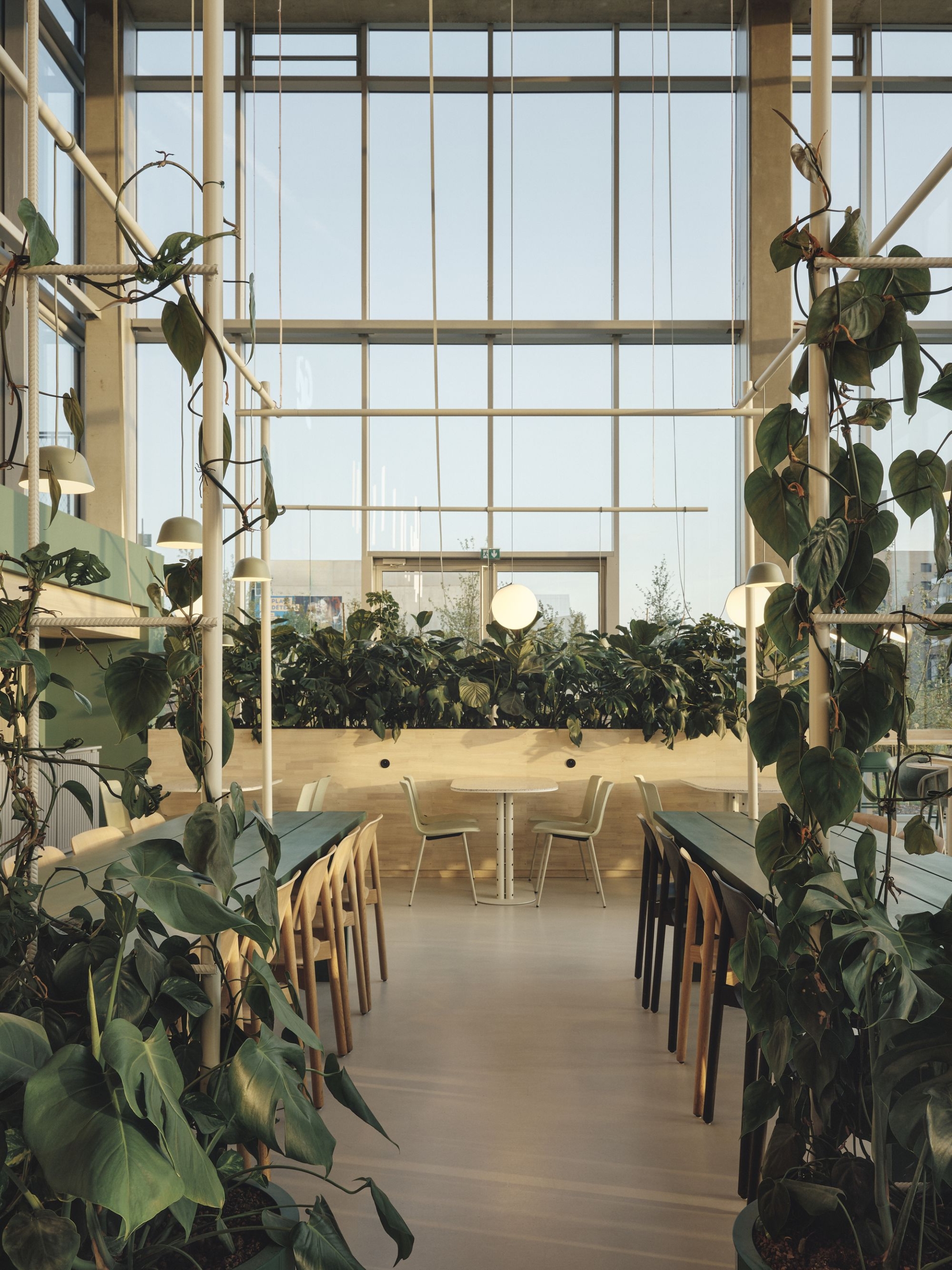 Niwa Offices - Toulouse | Office Snapshots