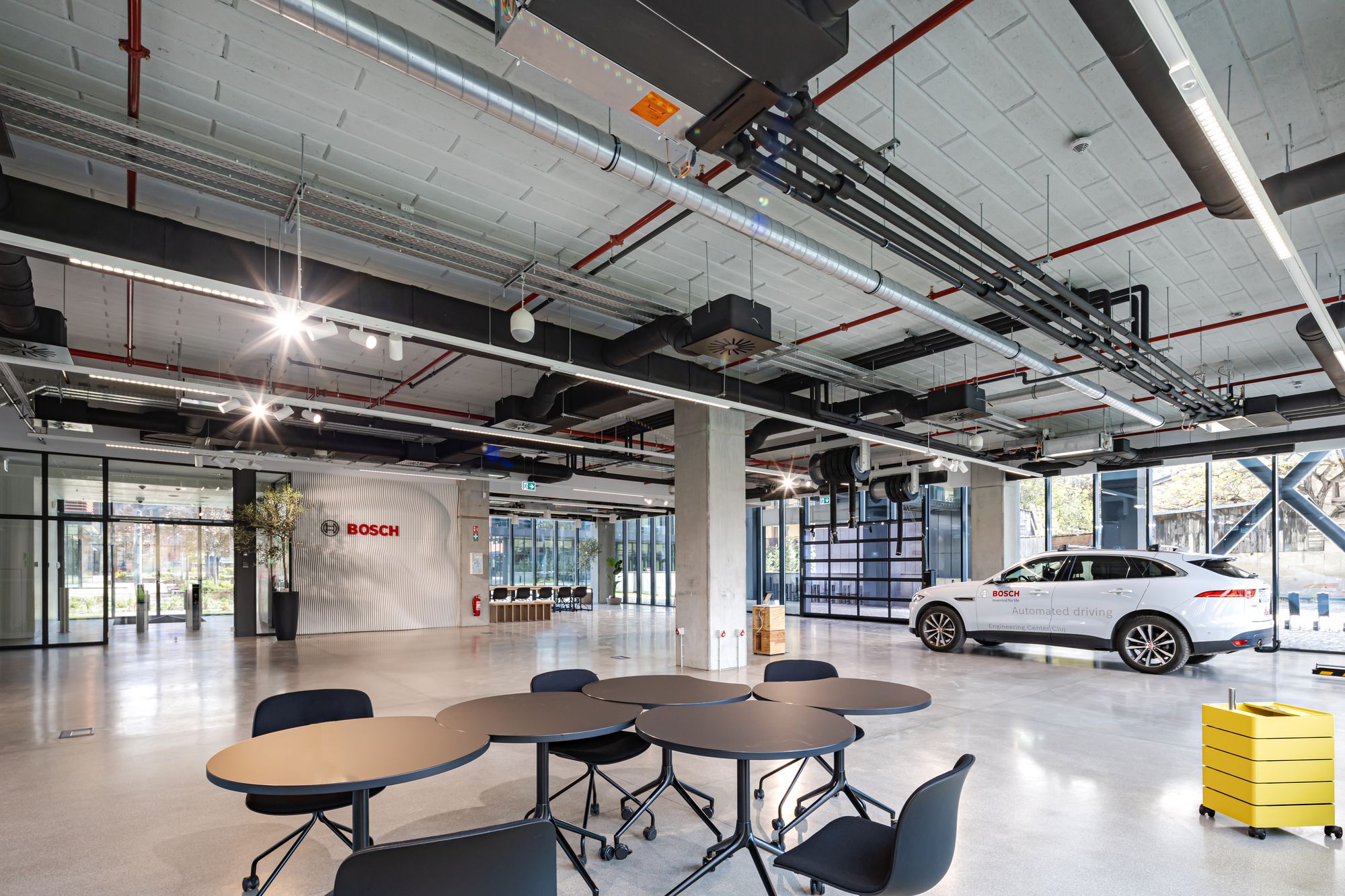 Alexandra Bendea | Photographer | Office Snapshots