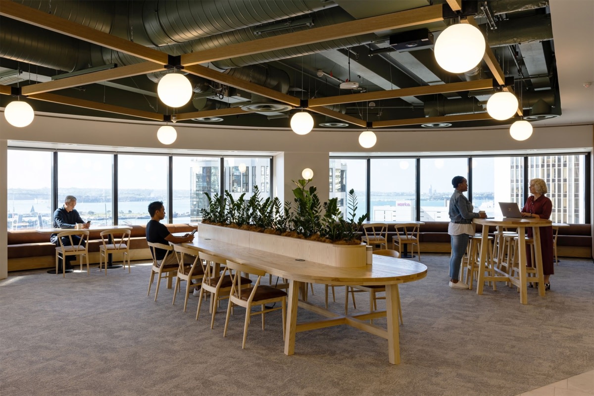 Southern Cross Healthcare Offices - Auckland | Office Snapshots