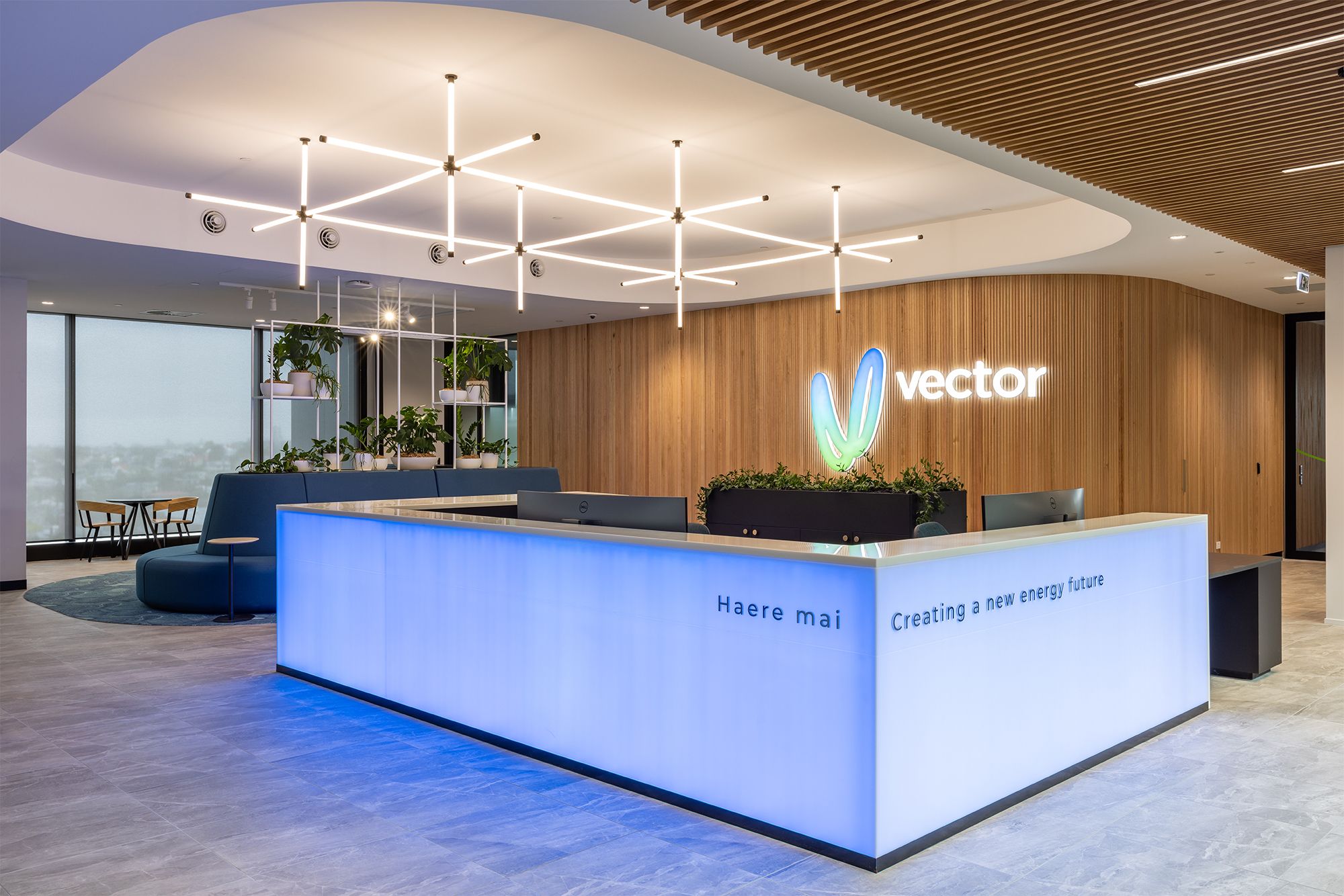 Vector Offices - Auckland | Office Snapshots